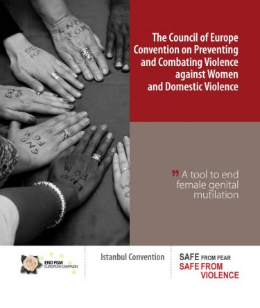 The council of Europe Convention on Preventing and Combating Violence against Women and Domestic ...