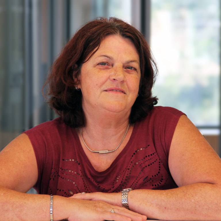 Suvada Haskovic - Pharos