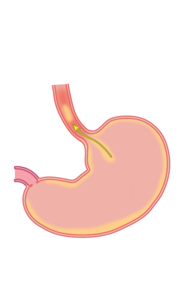 Begrijp je lichaam - Pharos