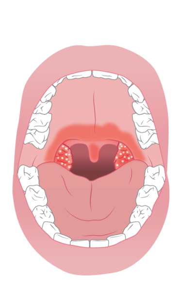 Begrijp je lichaam - Pharos