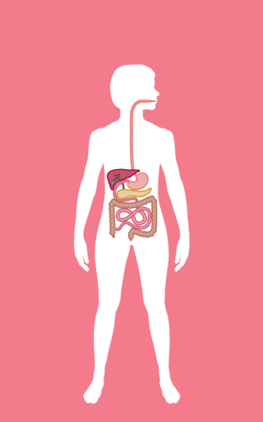 Begrijp je lichaam - Pharos