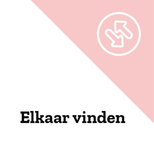 De vier bouwstenen van samenwerken - Pharos