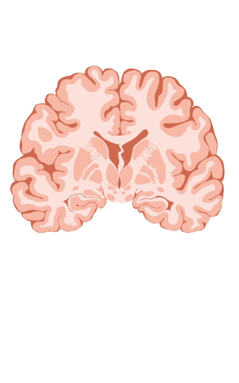 Begrijp je lichaam - Pharos