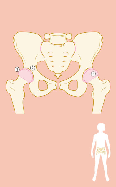 Begrijp je lichaam - Pharos
