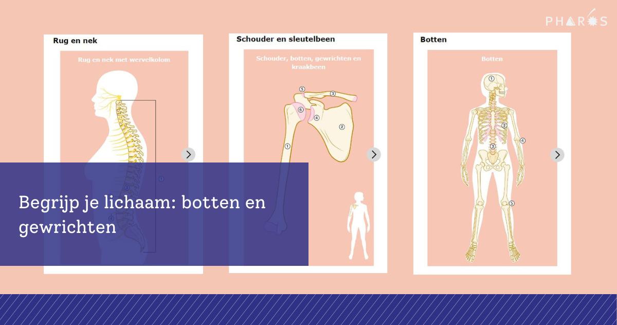 Begrijp je lichaam - Pharos